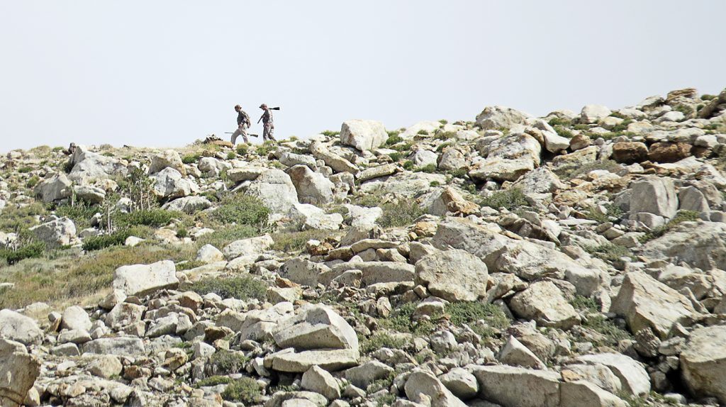 Nevada – Ultimate Upland