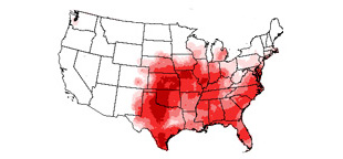 Bobwhite Quail - Ultimate Upland