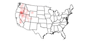 Chukar - Ultimate Upland