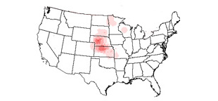 Prairie Chicken - Ultimate Upland