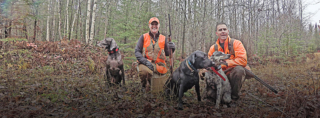 Northwoods - Ultimate Upland