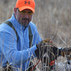 stevederr – Ultimate Upland