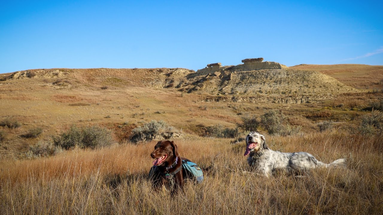 Nebraska – Ultimate Upland